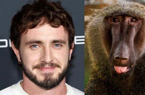 Paul Mescal fights pack of baboons in the new Gladiator film ...