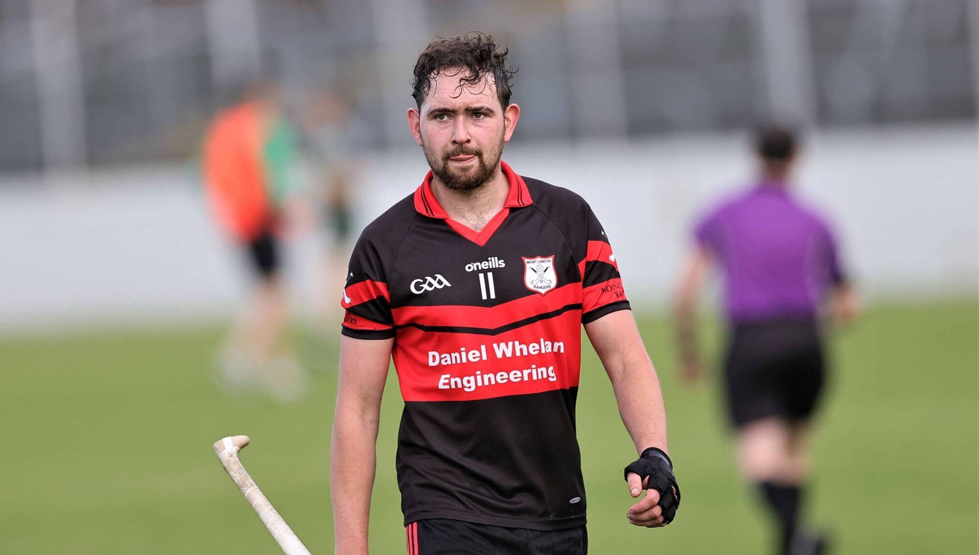 Comprehensive SHC wins for Rangers and St Mullins - GAA - Carlow ...