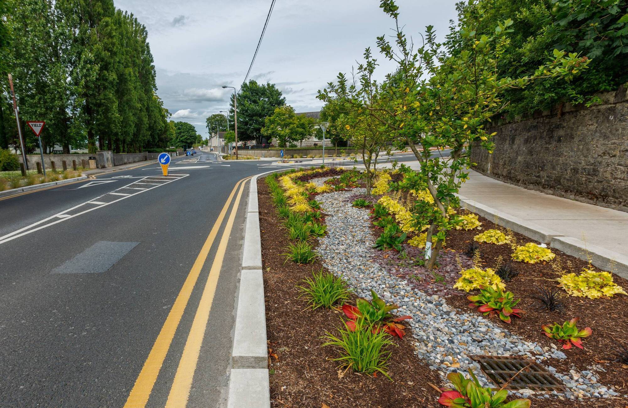 Mayor praises work done for Entente Florale contest - News - Carlow ...