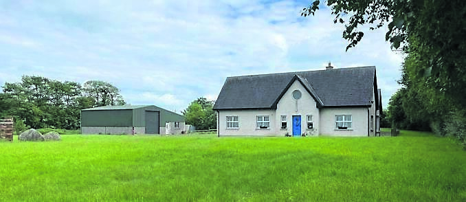 Longmile, Burtonhall Demesne, Palatine, Co Carlow - Life - Carlow ...