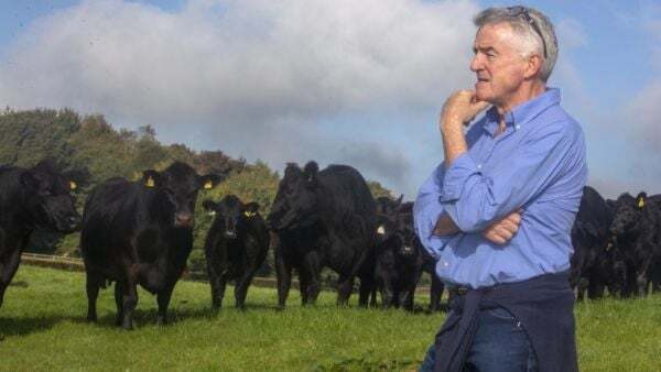 Michael O’Leary ‘astonished’ by green power of his farm’s solar panels ...