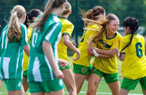 Harvey confirms CK Utd's plans for senior football - Soccer - Carlow ...