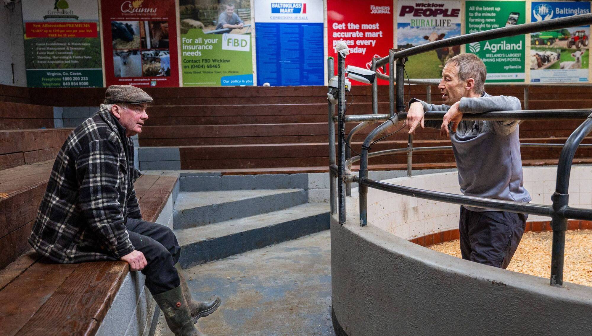 Baltinglass annual show marks 50 years with a full clearance of stock ...