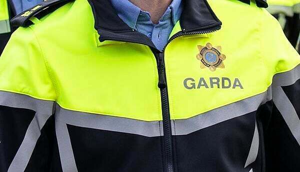 Gardaí are a ‘force in crisis’, says Labour's Alan Kelly - National ...