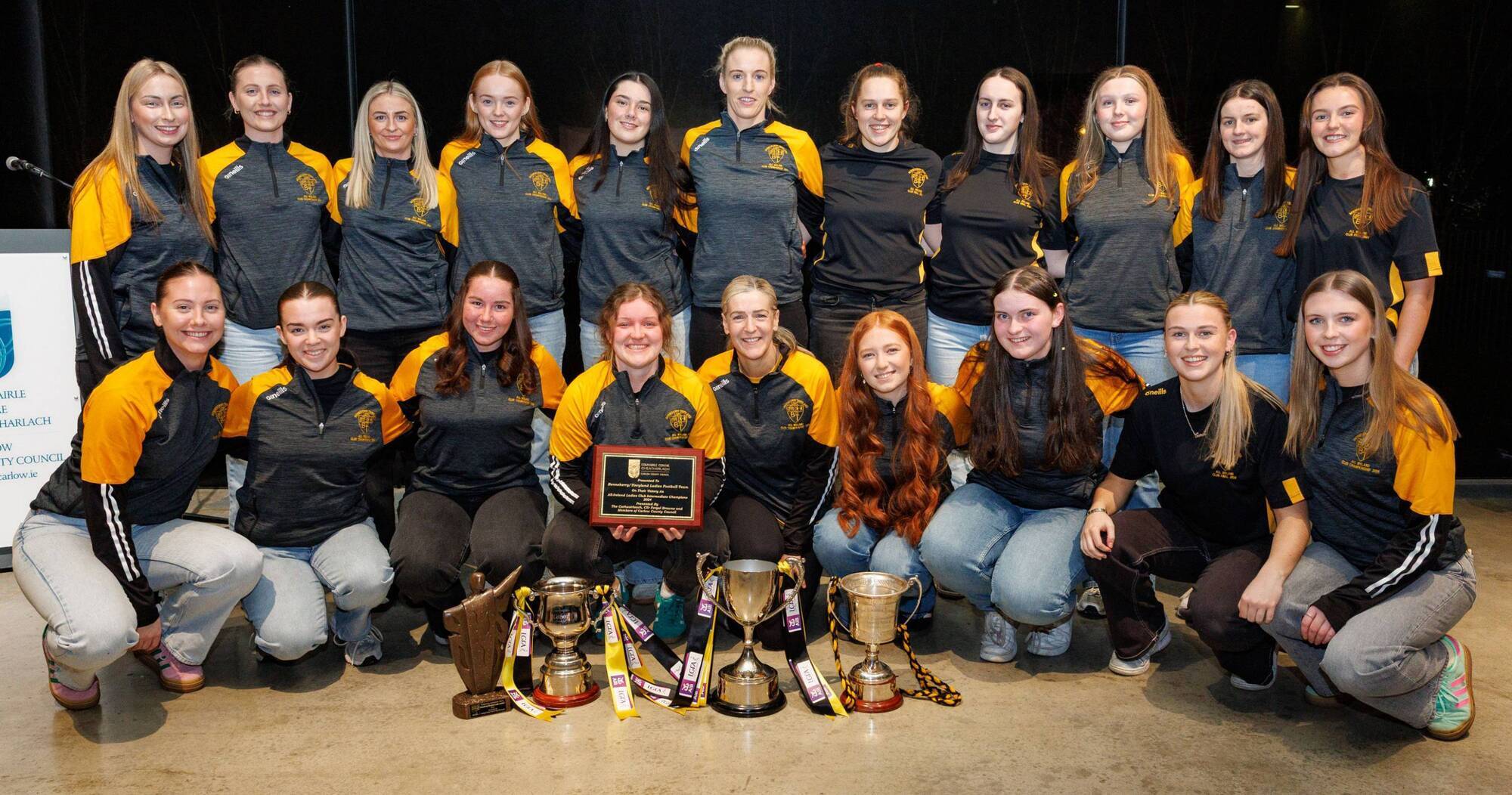Tinryland/Bennekerry honoured at civic reception for All-Ireland win ...