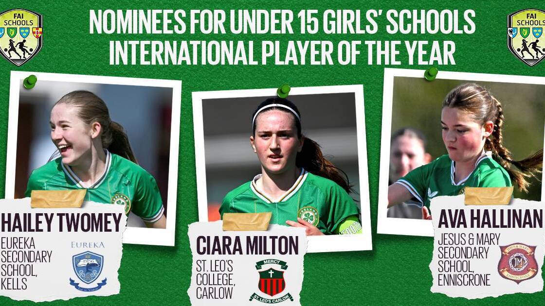 Milton nominated for prestigious FAI award - Soccer - Carlow Nationalist
