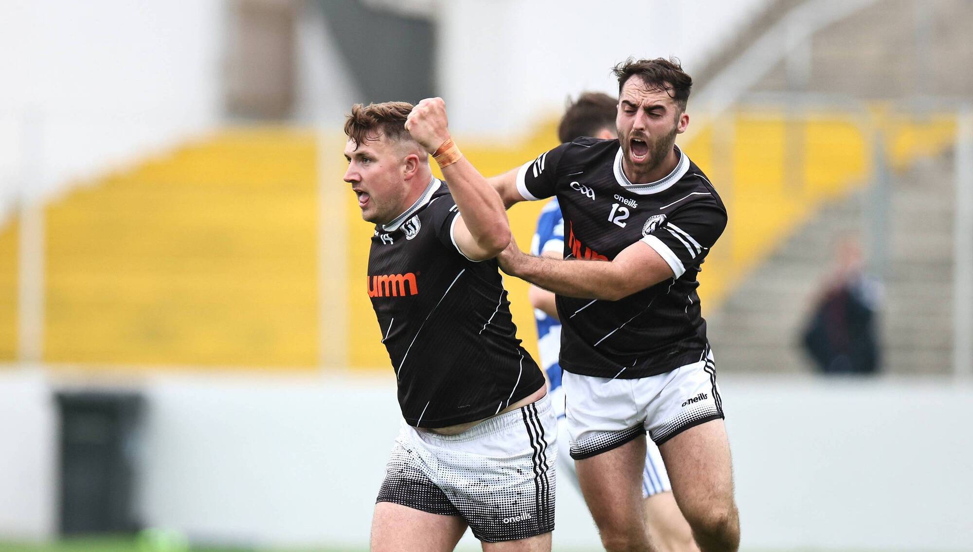 Mulhall not surprised with Fenagh win - GAA - Carlow Nationalist
