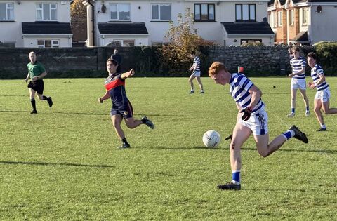 Knockbeg College begin Bro Bosco Cup with confident display - GAA ...
