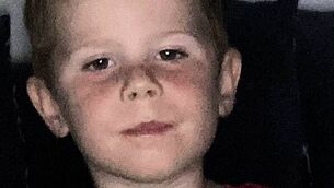 Dogs, horses and goats among 112,000 animals used in Irish lab ...