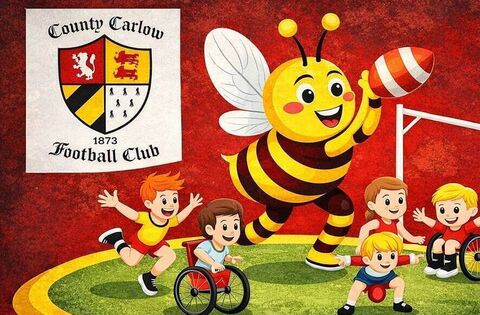 County Carlow Football Club to host inclusive Rugby Day with the Bees ...