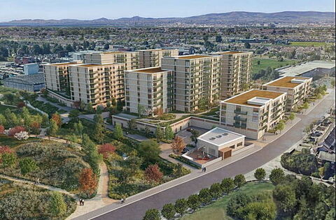 Council gives green light for 618 Dublin apartments despite rodent ...